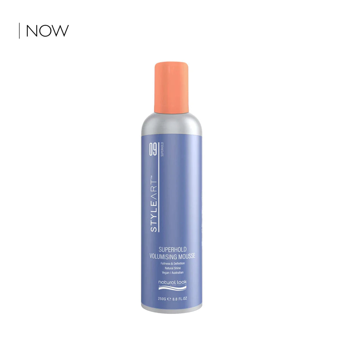 NATURAL LOOK STYLE ART SUPERHOLD VOLUMIZING MOUSSE (WAS ATV INSTANT RE